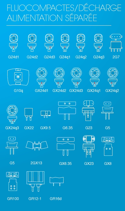 Quels sont les différents types d’ampoules ? | Téréva